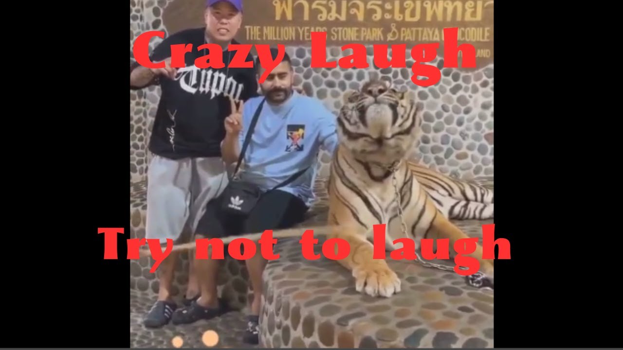 Crazy Laugh| TRY NOT TO LAUGH - Compilation of funny videos No.17 - YouTube