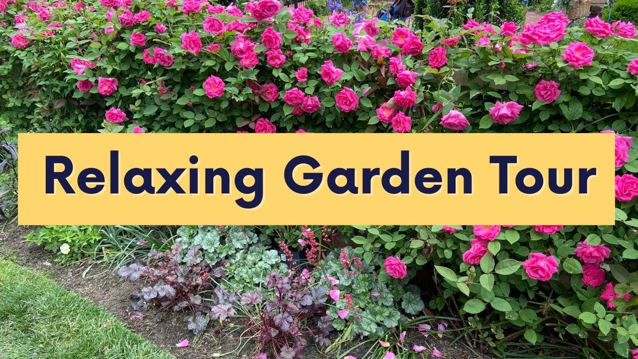 The Garden is Exploding! Blooms You Don’t Want to Miss in Late May ...