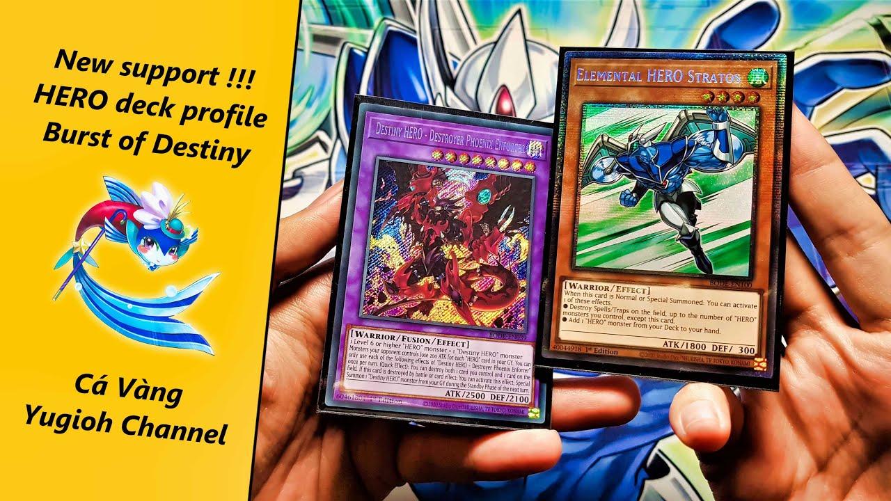 COMBO UPDATE & DECK PROFILE「HERO」 Cá Vàng Yugioh Channel - YouTube