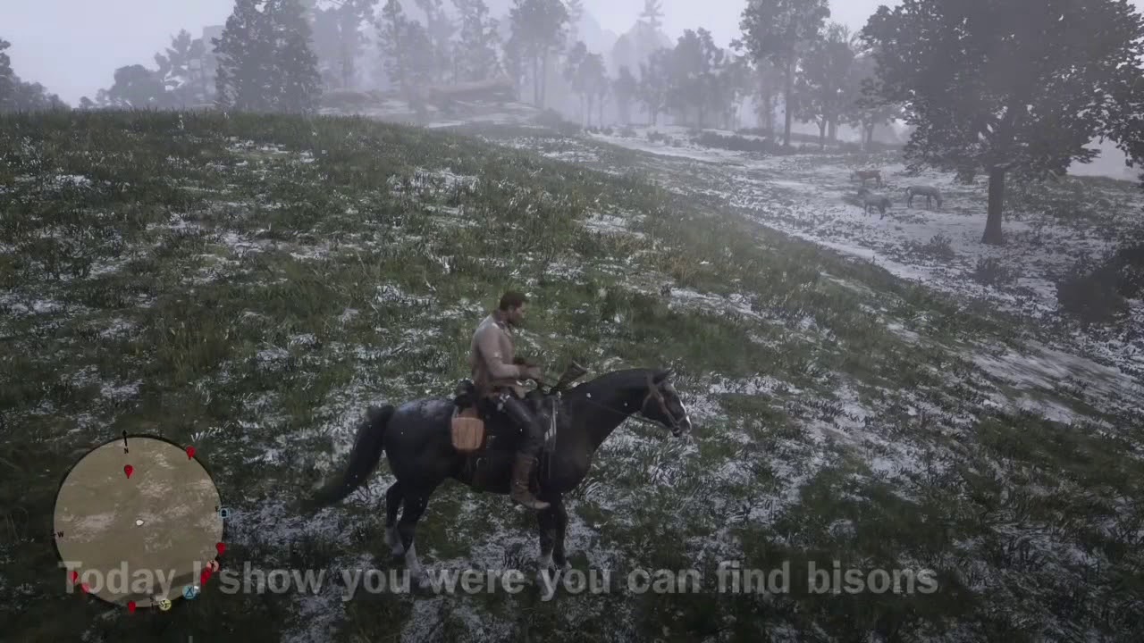 Red Dead Redemption 2 | Bison spawn area 2020 | Bison hunting | - YouTube