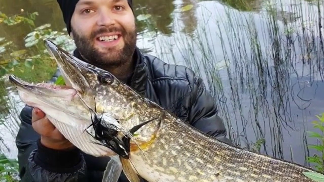 Great pike fishing in Sweden - Pike fishing - Gäddafiske ...