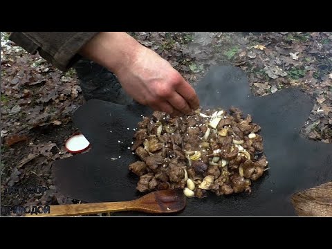 ГОТОВИМ МЯСО на ДИСКЕ в СТАРОМ лесу ЗИМОЙ. ЯНВАРЬ 2021.