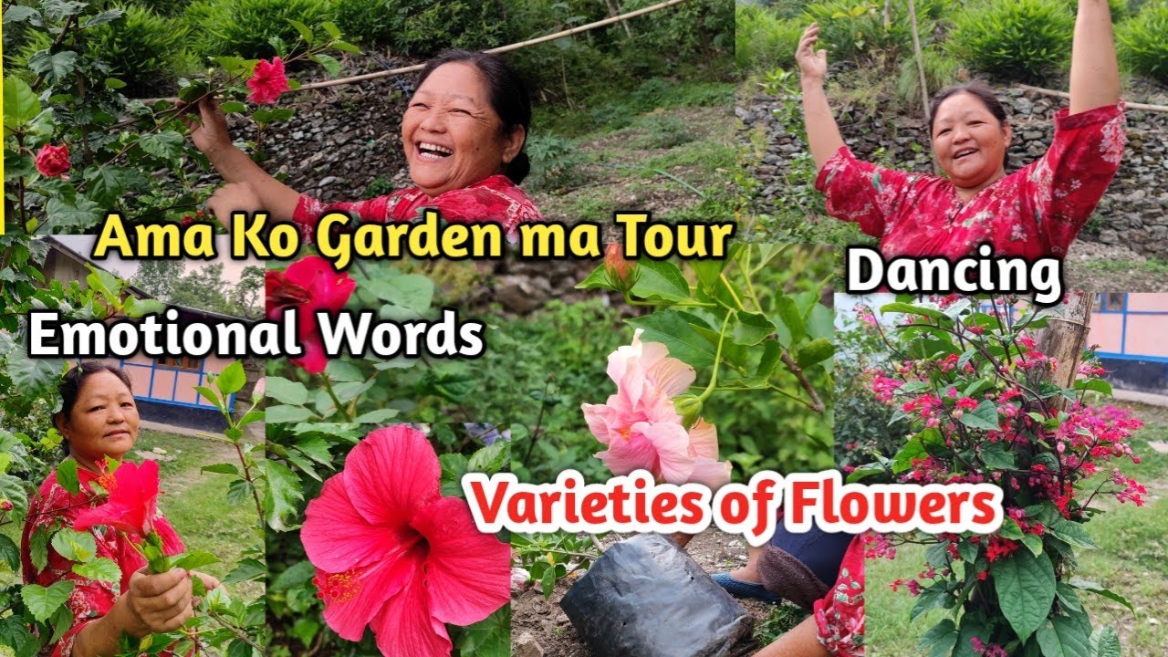 Aju Ama Ko Flowers Ko Vlog. Varieties of Flowers.Emotional Kura grnu ...