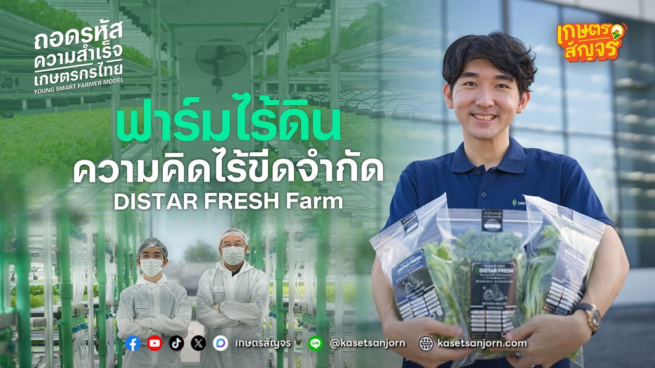 ฟาร์มไร้ดิน ความคิดไร้ขีดจำกัด Distar Fresh Farm | ถอดรหัสความสำเร็จ ...