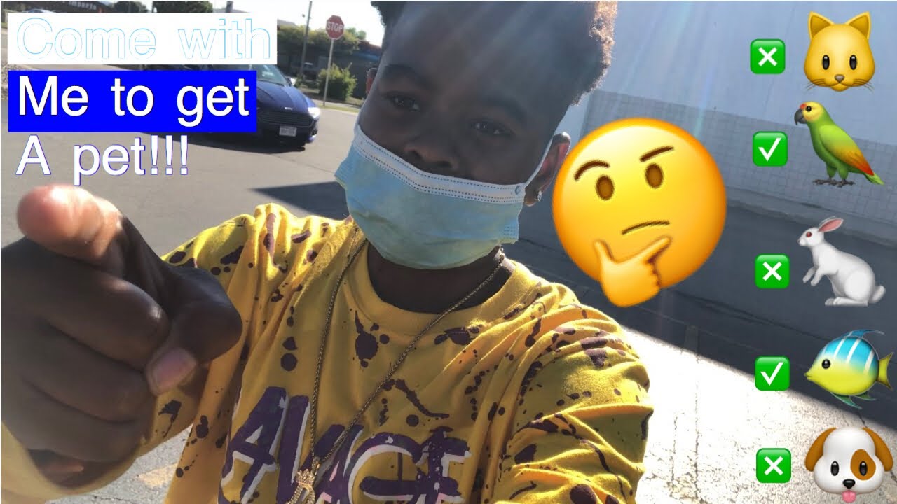 Virtual school || morning routine || vlog - YouTube