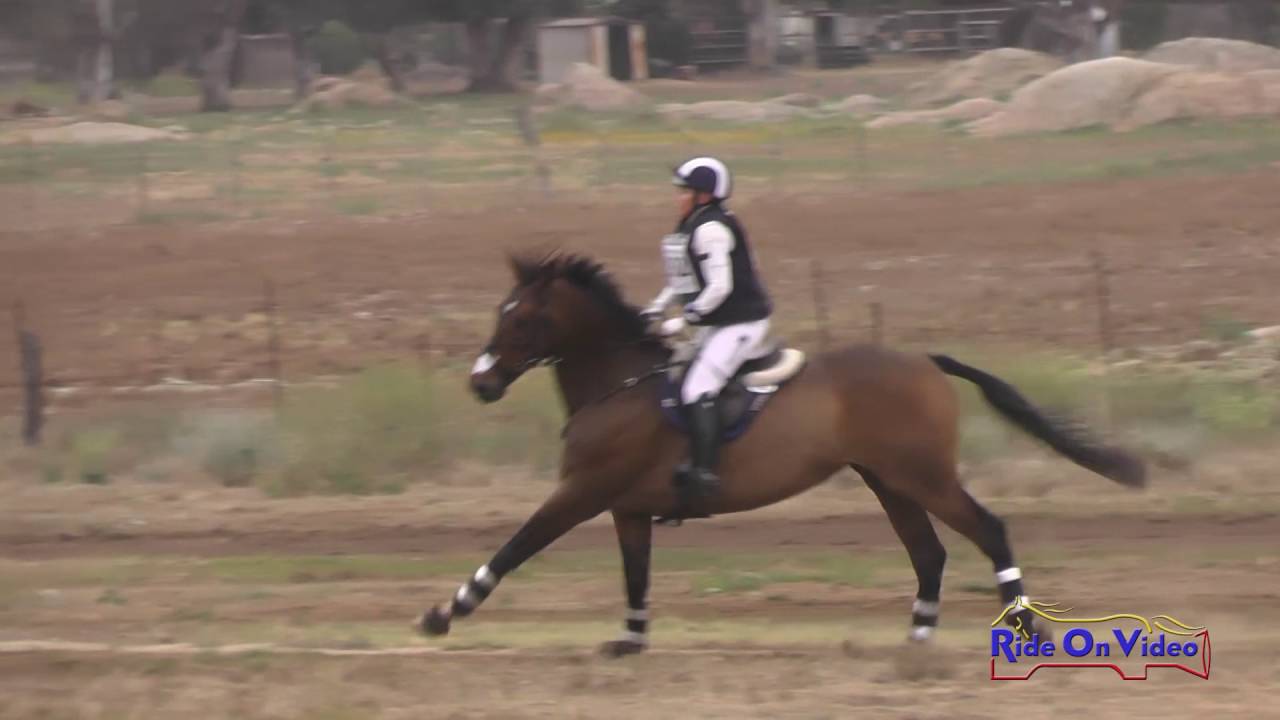192XC Hawley Bennett Awad on Jollybo Open Preliminary Cross Country ...
