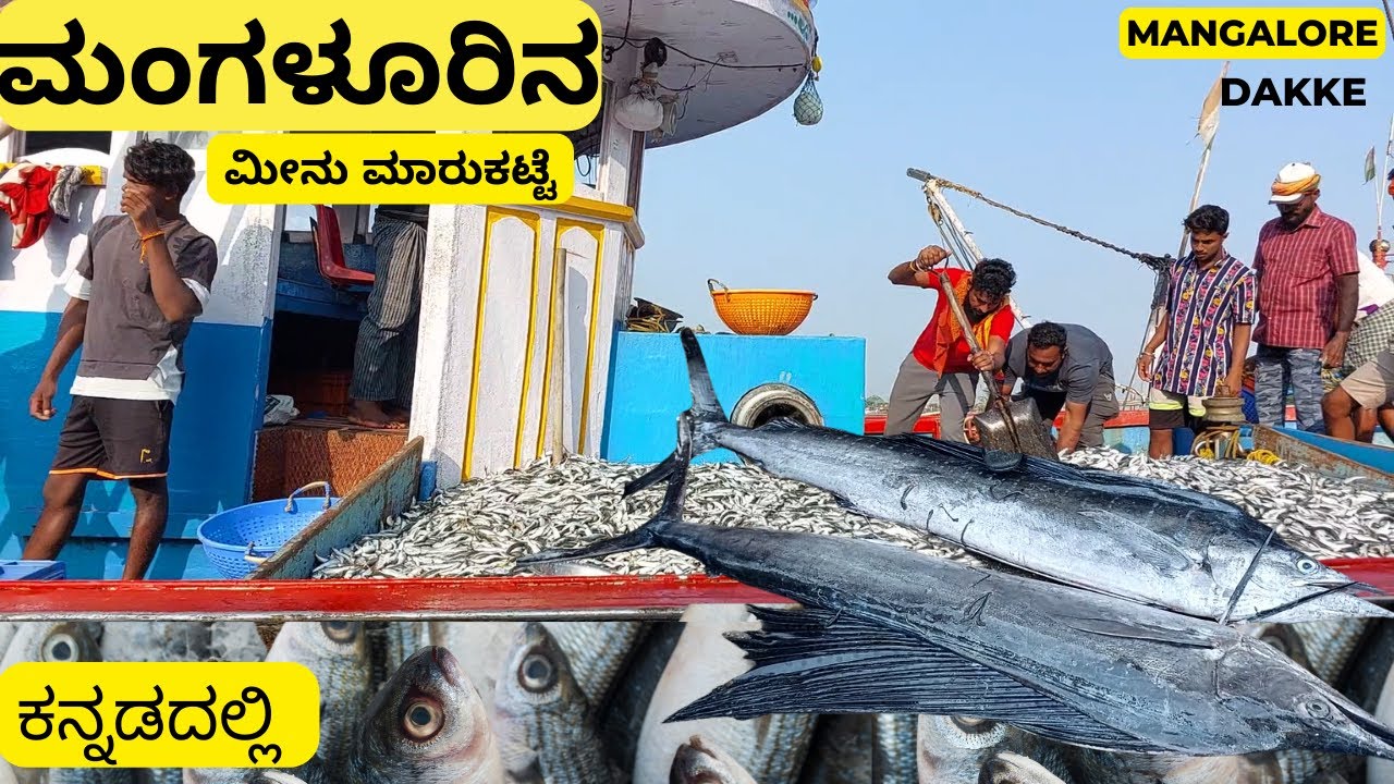 ಮಂಗಳೂರಿನ ಅತಿ ದೊಡ್ಡ ಮೀನು ಮಾರುಕಟ್ಟೆ | Mangalore's Largest Fish Market ...