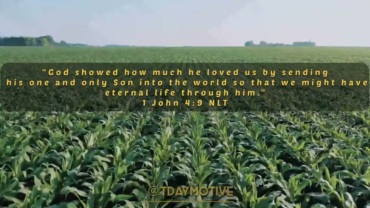 God Showed How Much He Loved Us By Sending His One And Only Son 1 God Showed How Much He Loved Us By Sending His One And Only Son 1
