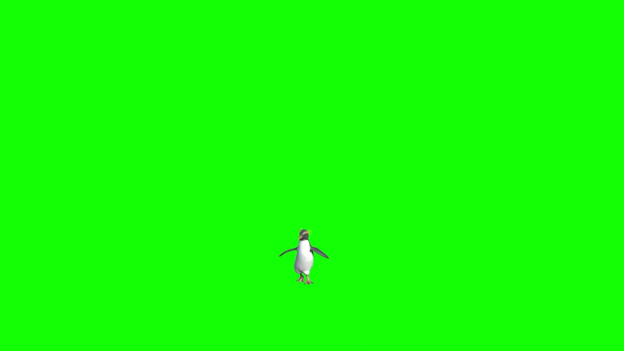 Penguin Green Screen - YouTube
