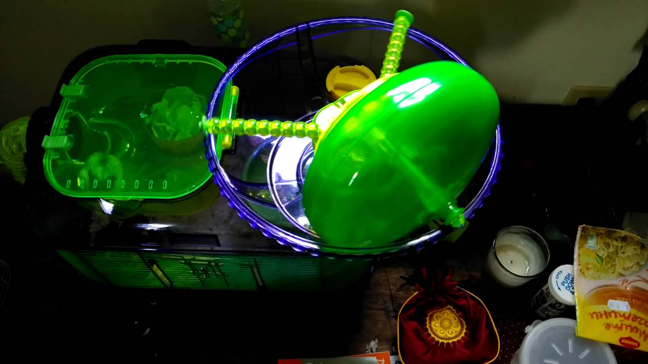 Squish butt - YouTube