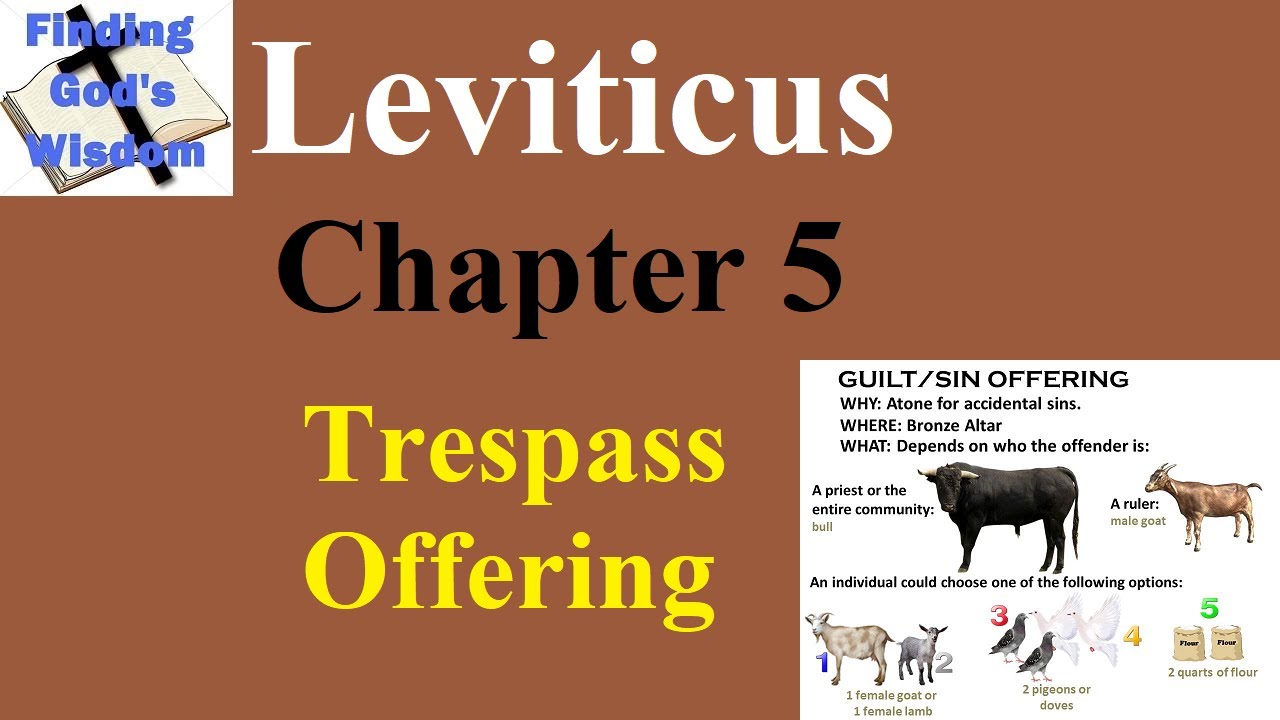 Leviticus - Chapter 5 - Trespass Offering - YouTube