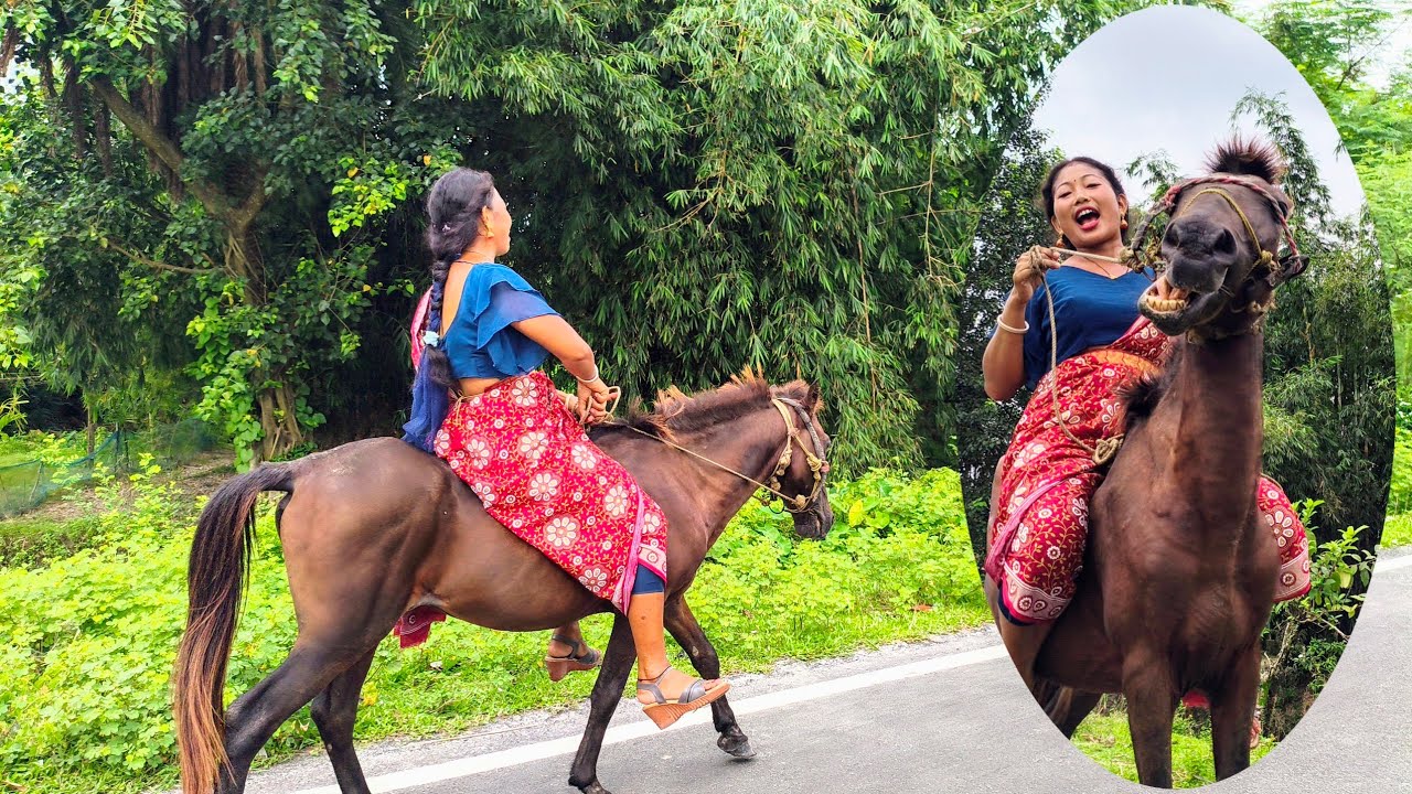 गाँव की ऊँची सड़क पर घोड़े की सवारी | High Road Horse Riding in Village ...