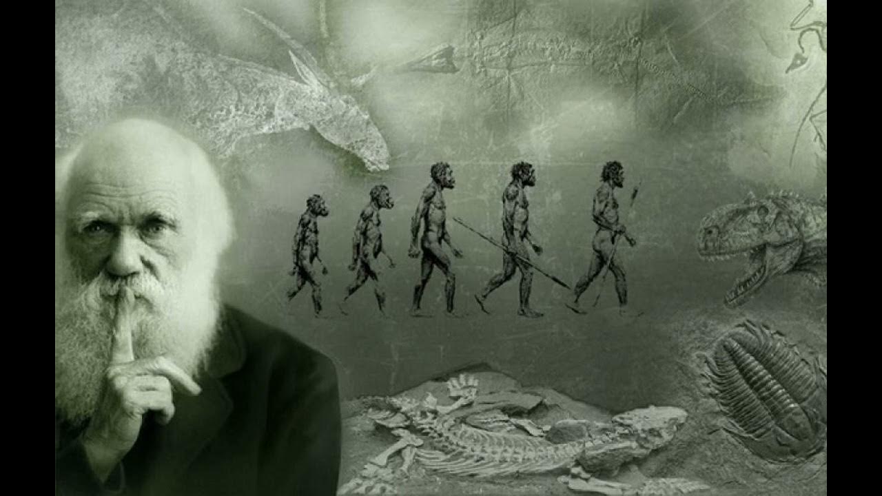 Xét lại học thuyết của Đác Uyn - Lý Tôn Ngô - YouTube