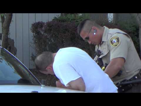 Police Investigating "Gypsy Scam" Transport 5 Men from Apartment on ...