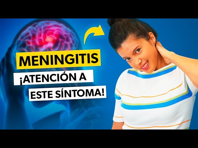 Meningitis micótica: qué es, síntomas y cómo se contagia - Tua Saúde Meningitis micótica: qué es, síntomas y cómo se contagia - Tua Saúde