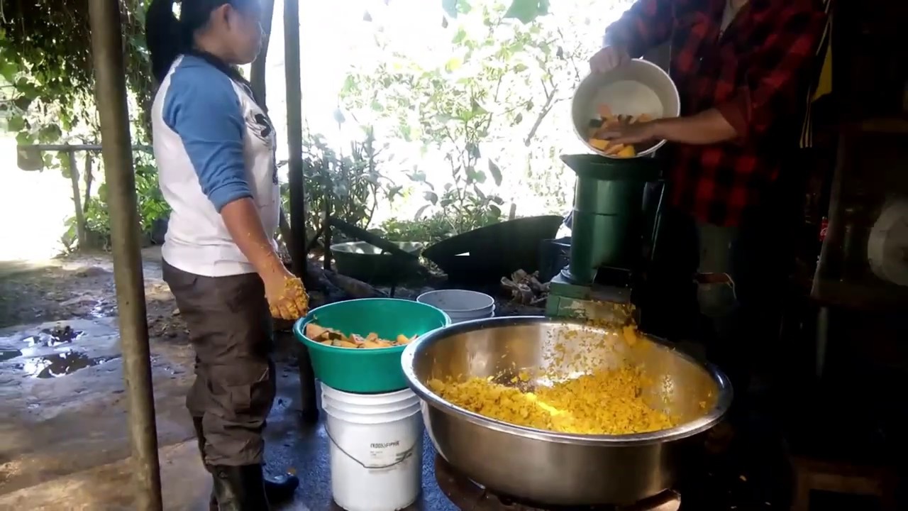 MAKING HOG FEEDS// FEED FORMULATION @ #LILY OF THE VALLEY ORGANIC FARMS ...