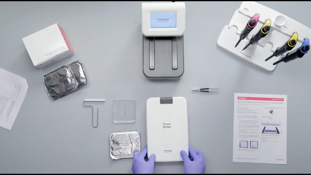 Consistent Western Blot Transfer with Wet Tank Systems - YouTube