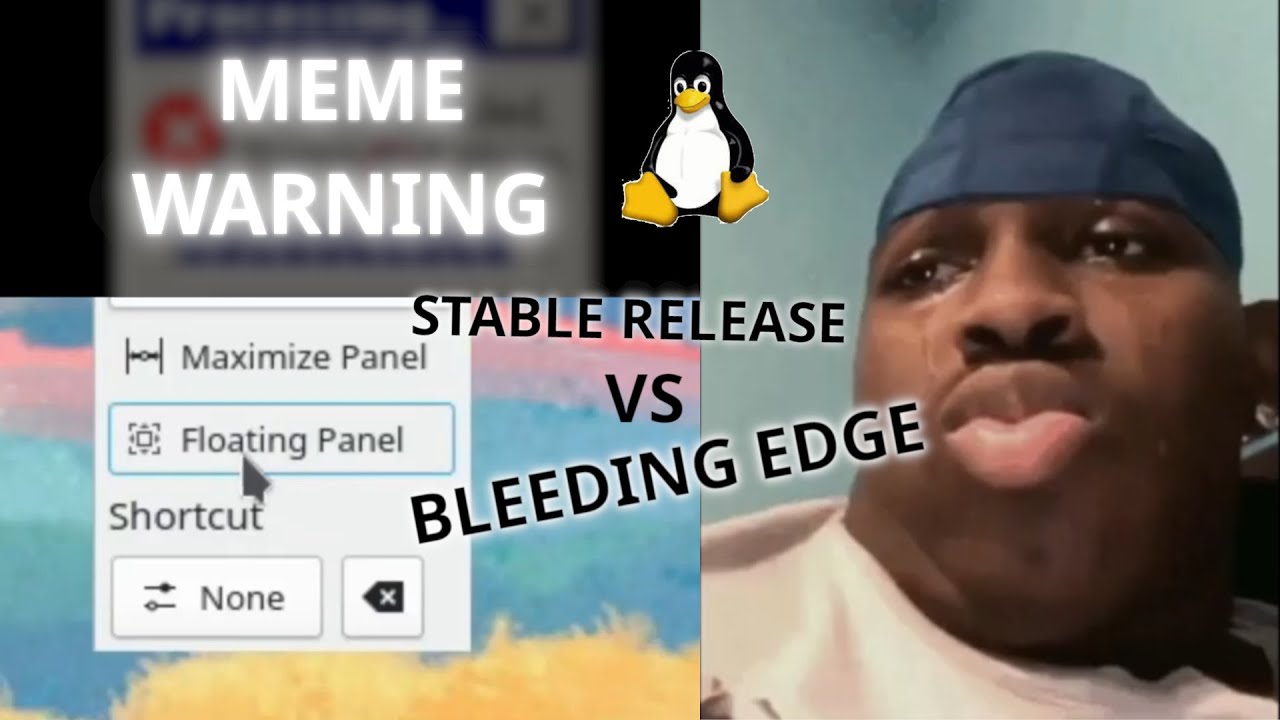 When you switch to BLEEDING EDGE from stable release | MEME WARNING ...