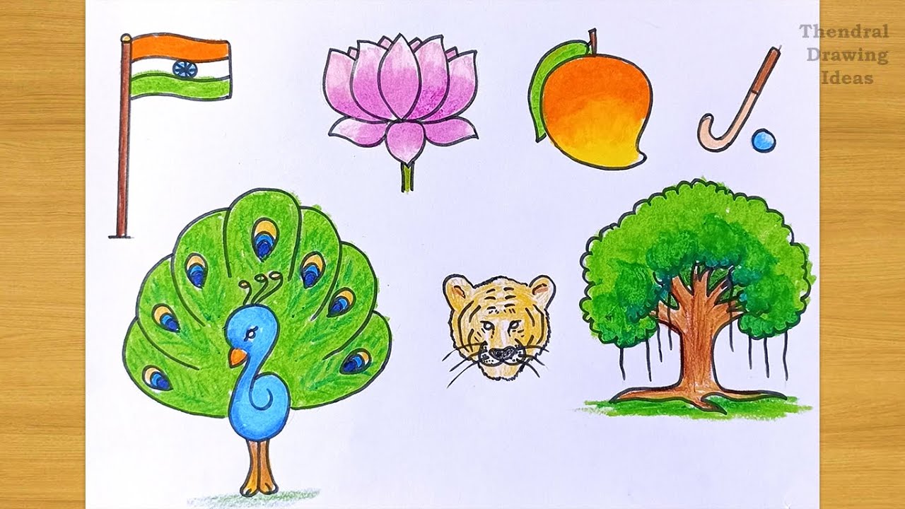 How to draw National symbols of India easy way | National symbols of ...