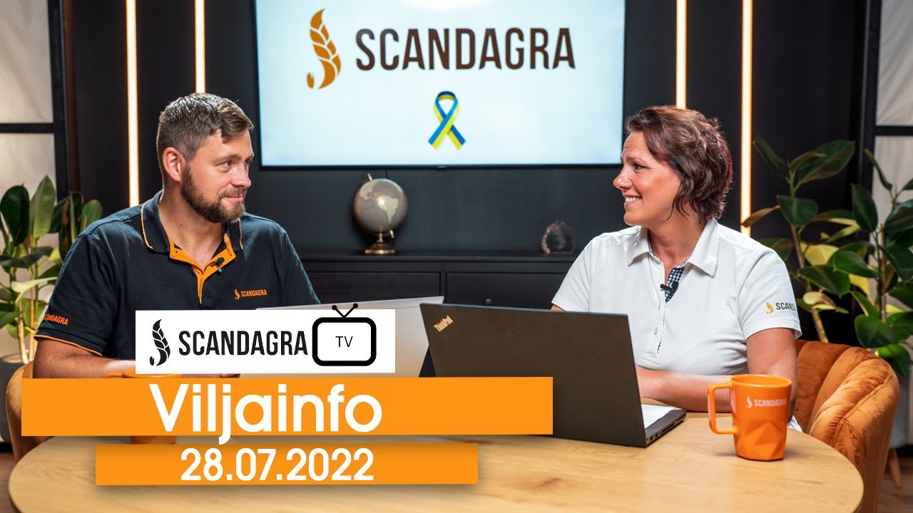 Scandagra VILJAINFO 28.07.2022 - YouTube