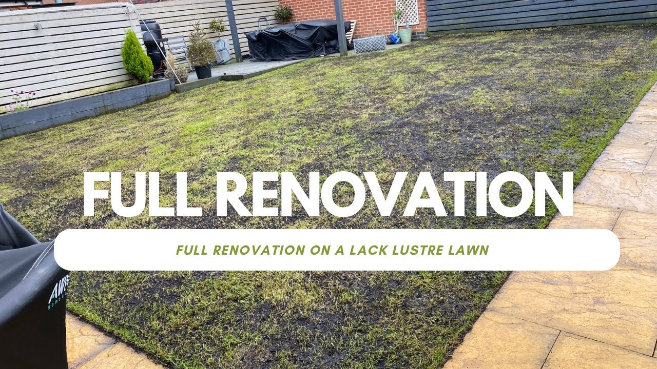 Full Lawn Renovation - YouTube