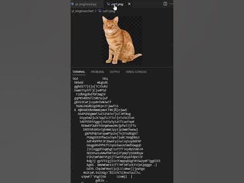 How to convert images to ASCII ART in python using ascii magic module? #shorts #ascii #python ...