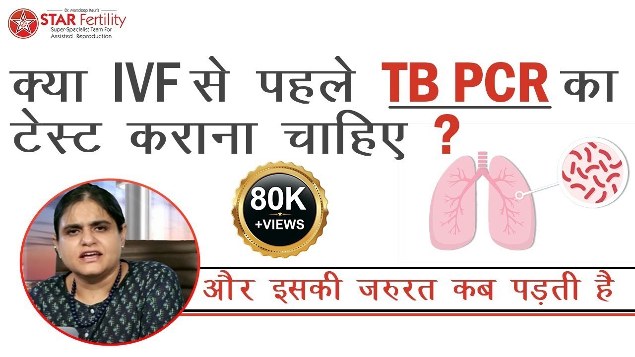TB PCR Test In Hindi Yeh Kaise Hota Hai TB Gold Procedure PCR TEST FOR TUBERCULOSIS TB tb-pcr-test-in-hindi-yeh-kaise-hota-hai-tb-gold-procedure-pcr-test-for-tuberculosis-tb