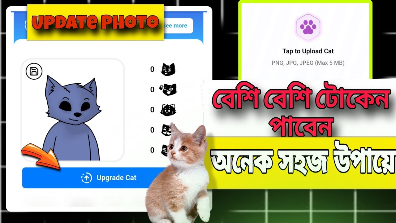 Cats Coin Update Photo কিভাবে করব। Coin Update Photo Easy Methods।Cats ...