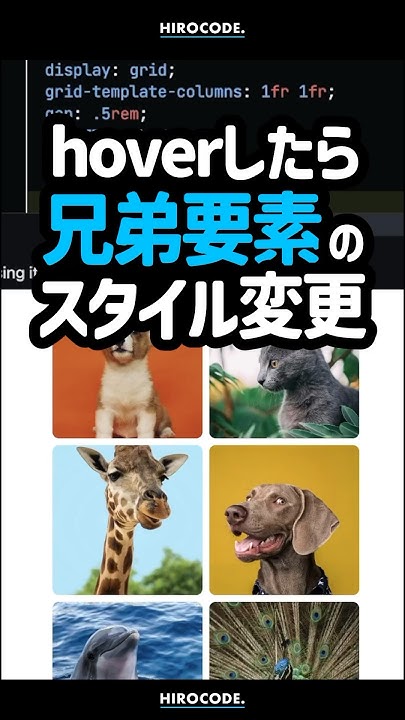 Hoverで、兄弟要素のスタイルを変更する方法 Shorts コーディング プログラミング Htmlcss Html Css Javascript Webデザイン Youtube