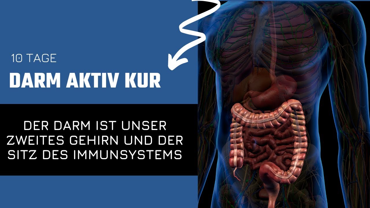 Darm Aktiv Kur - 10 Tage - YouTube