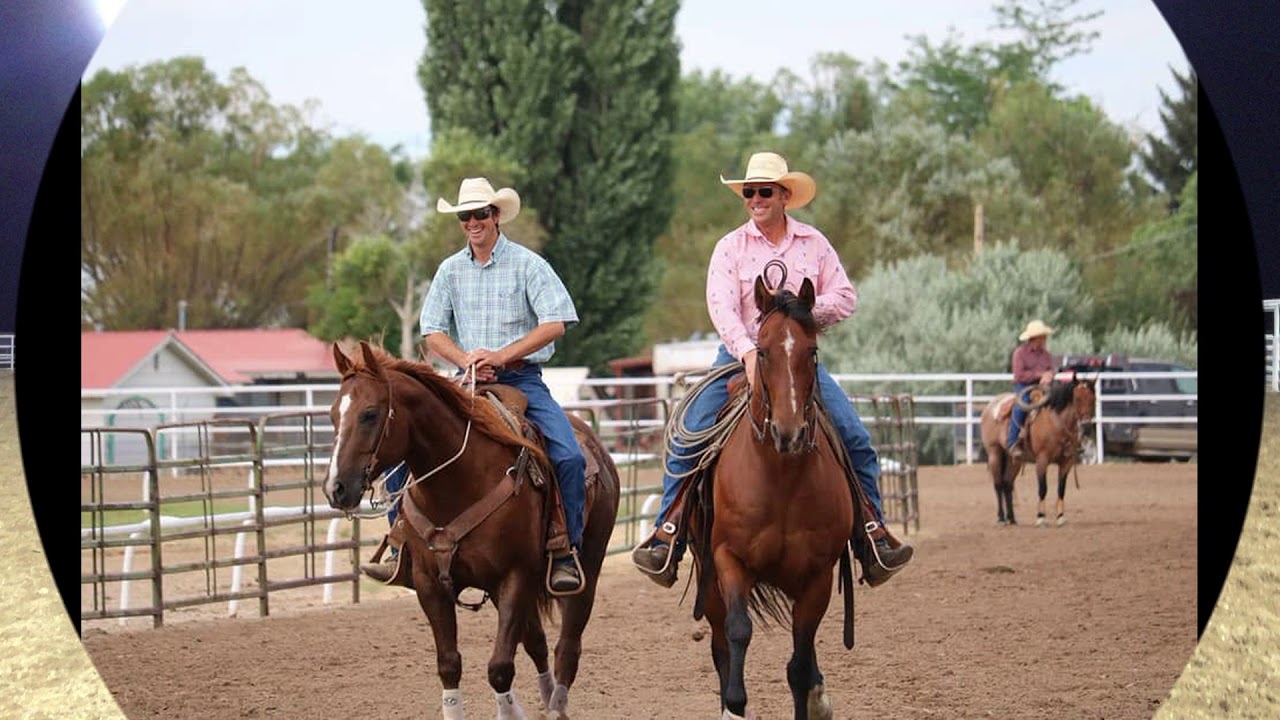 sold BSF Smart Guy- 8 year old AQHA gelding for sale - YouTube