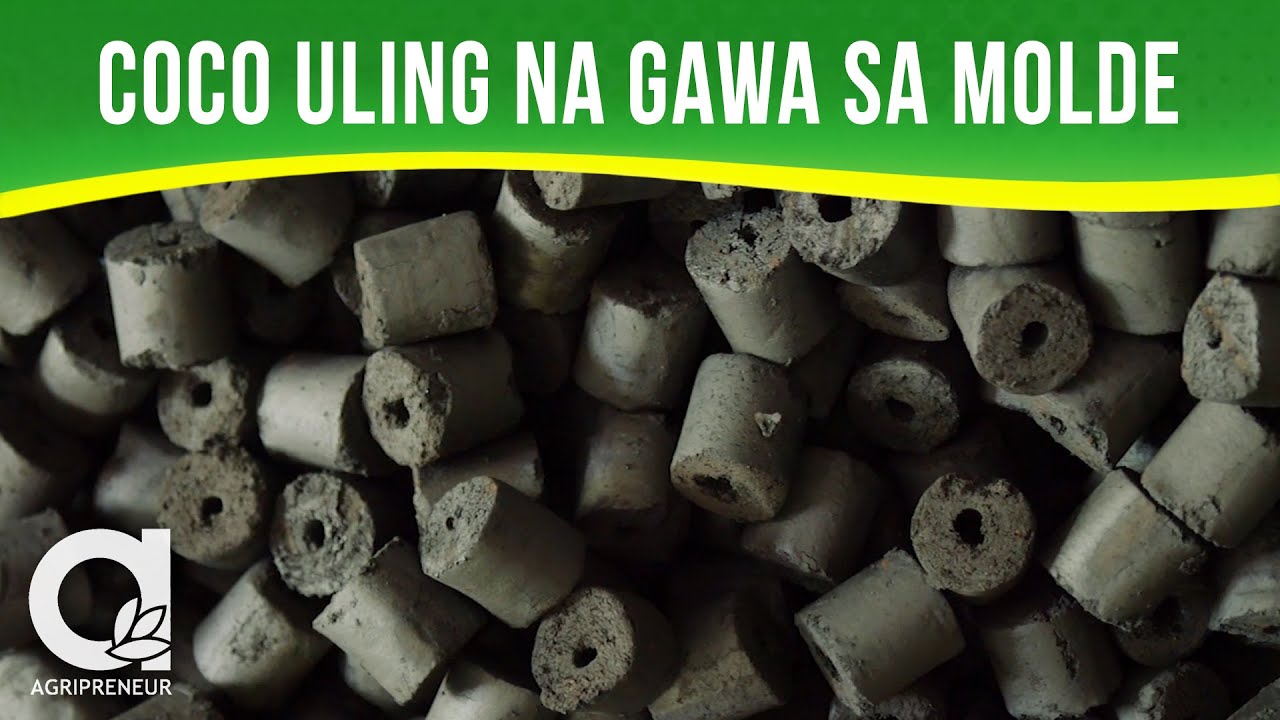 Ang Advantages ng Eco-Friendly na Briqstone Coco Charcoal Briquettes ...