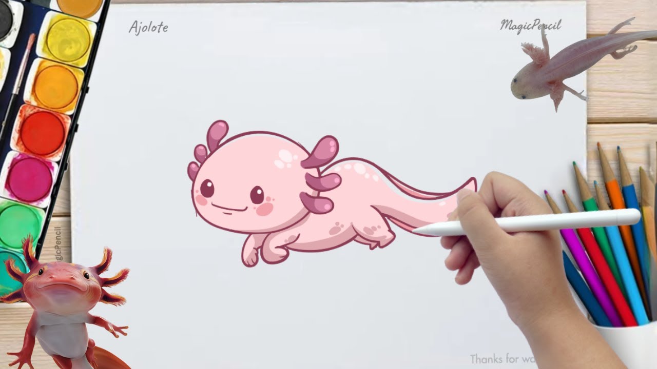 How to Draw a Cute Axolotl | Easy Animal Drawing for Kids - YouTube
