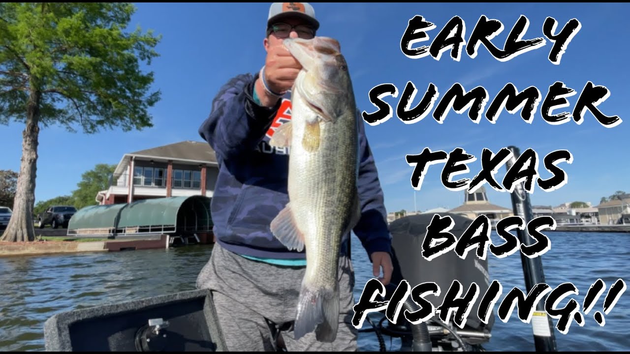 Early Summer TEXAS Bass Fishing!! - YouTube