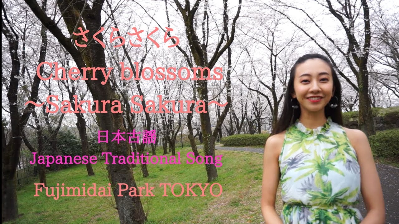 さくらさくら Cherry blossoms ~Sakura Sakura~ 日本古謡 Japanese Traditional Song ...