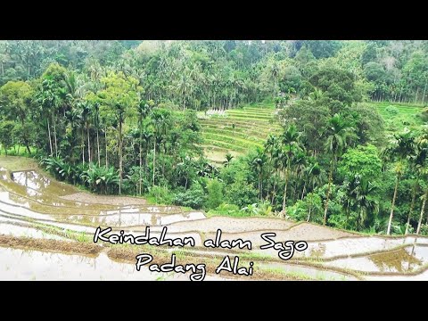 KEINDAHAN ALAM DI SAGO PADANG ALAI SUMATERA BARAT INDONESIA RAYA - YouTube