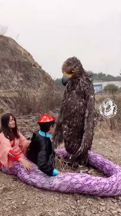 6 meters snake tail and eagle owl in the film - YouTube