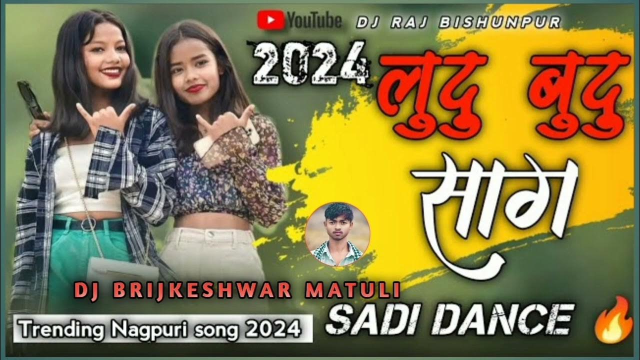 Ludu Budu Sag Ll 2024 New Nagpuri Song Video 2024 Ll Dj Remix Songs