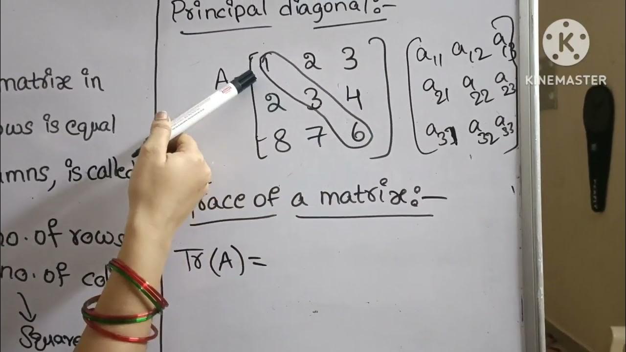 Matrix, Order of a matrix, Types of matrices(part-1) - YouTube