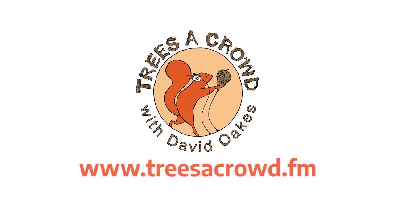 "Trees A Crowd" Podcast, COMING SOON... - YouTube