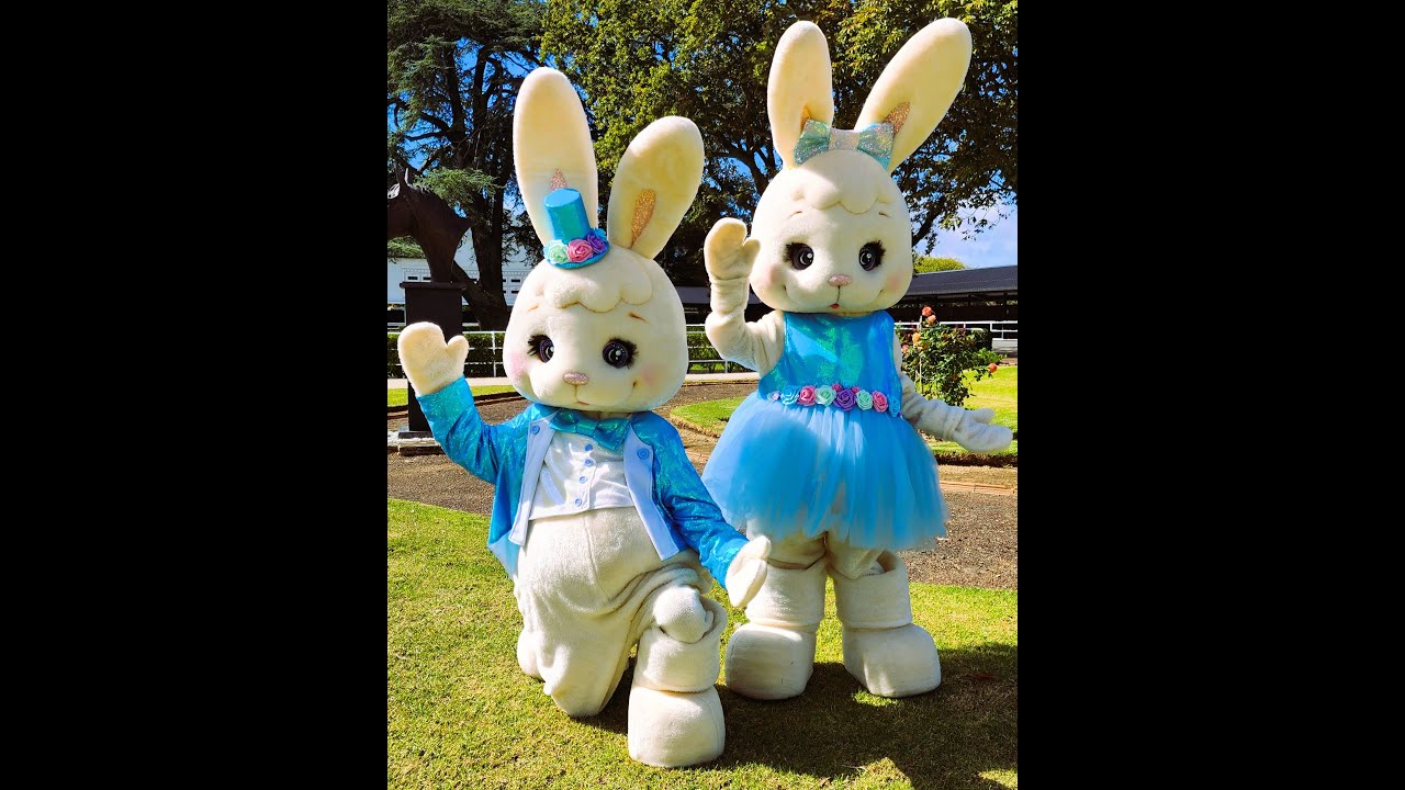 #shorts Our bunny mascots made a magical entrance — arriving at the ...