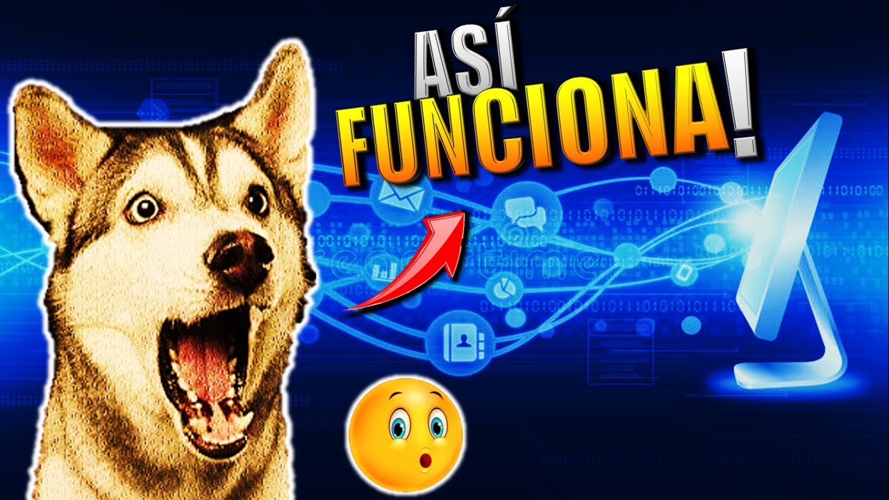 Qué es la WWW ( Qué es la WEB 🤔 ) | COMPONENTES de la Web | Cómo ...