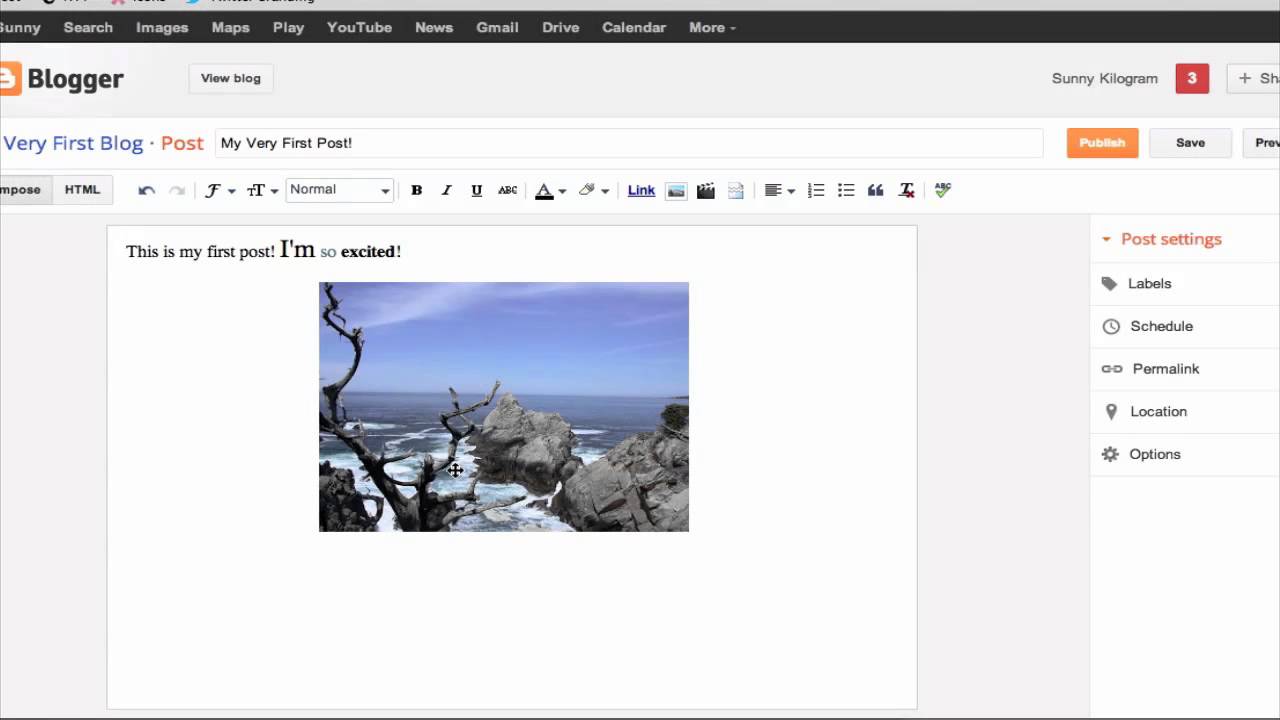 How to Use Google Blogger : Tumblr & Other Social Media - YouTube