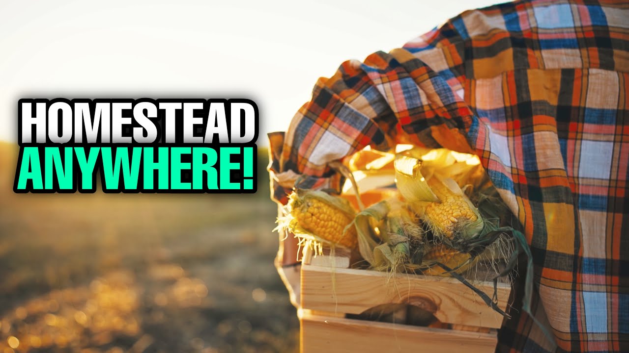 5 SIMPLE Steps To Start A Homestead (NO MATTER Where You Live!) - YouTube
