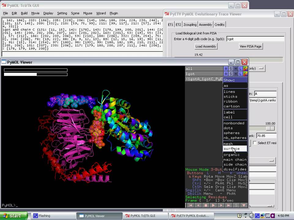 Viewing the Evolutionary Trace of biological assemblies with PyMOL and ...