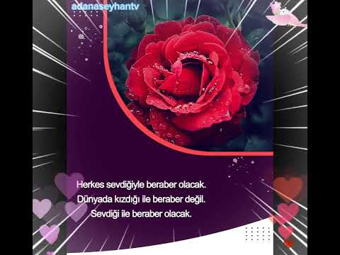 Etkileyicisözler📢Mevlânâ sözleri📢Özlü sözler📢Düşündürücü sÖzler📢Anlamlı sözler📢Dini sözler