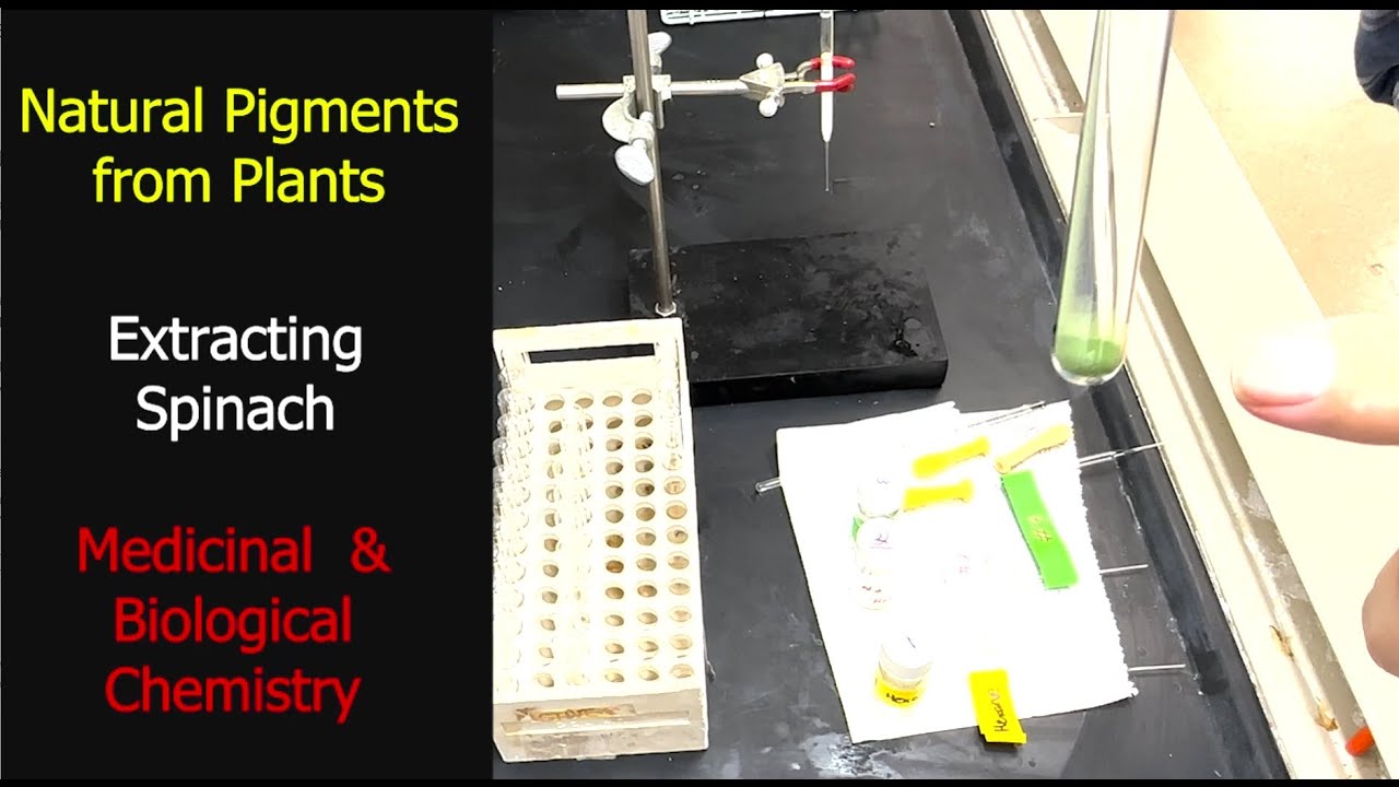 Spinach Extraction - YouTube