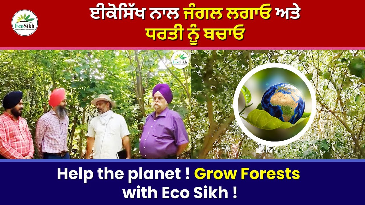 Help the planet ! Grow forests with EcoSikh ! - YouTube