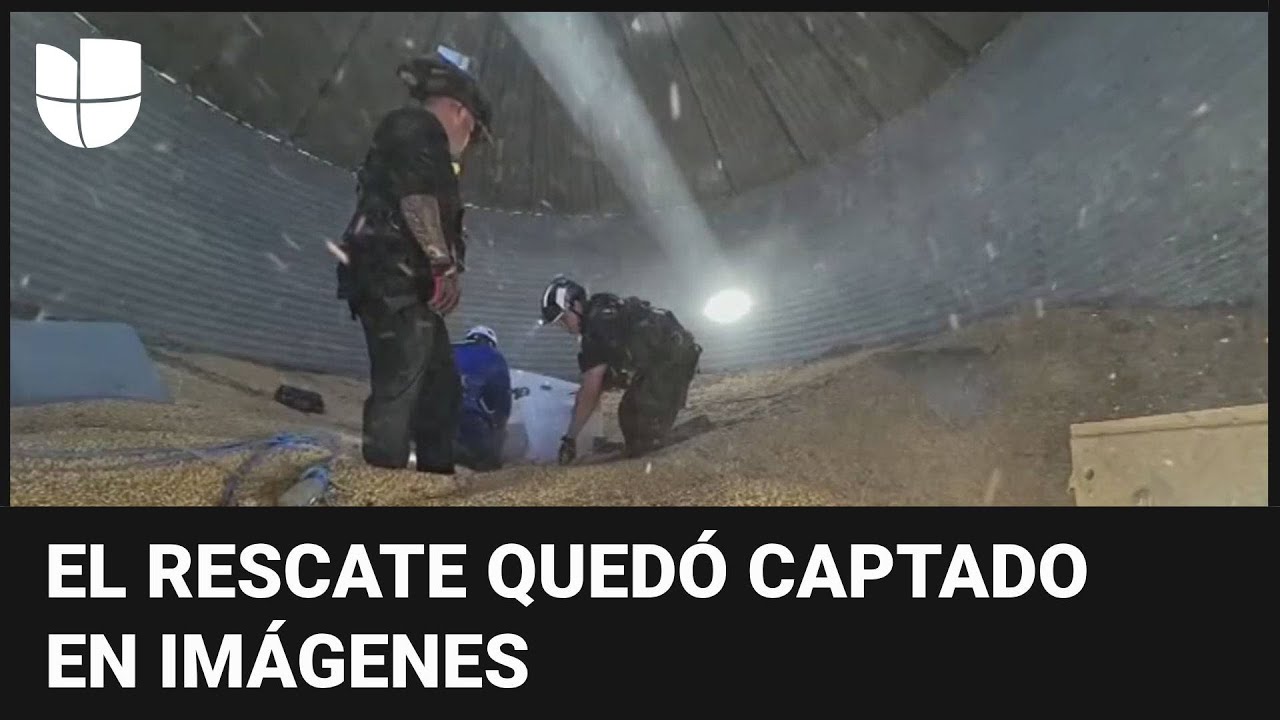 Captado en imágenes: agricultor cae a un contenedor de grano y queda ...