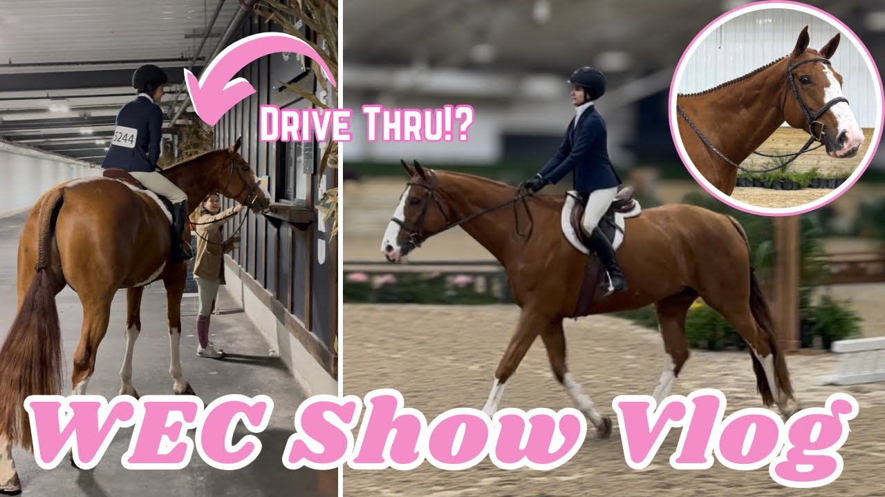 World Equestrian Center Show Vlog! - YouTube